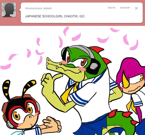 Sonisa Wolrd: 32 Funny Pictures do team chaotix