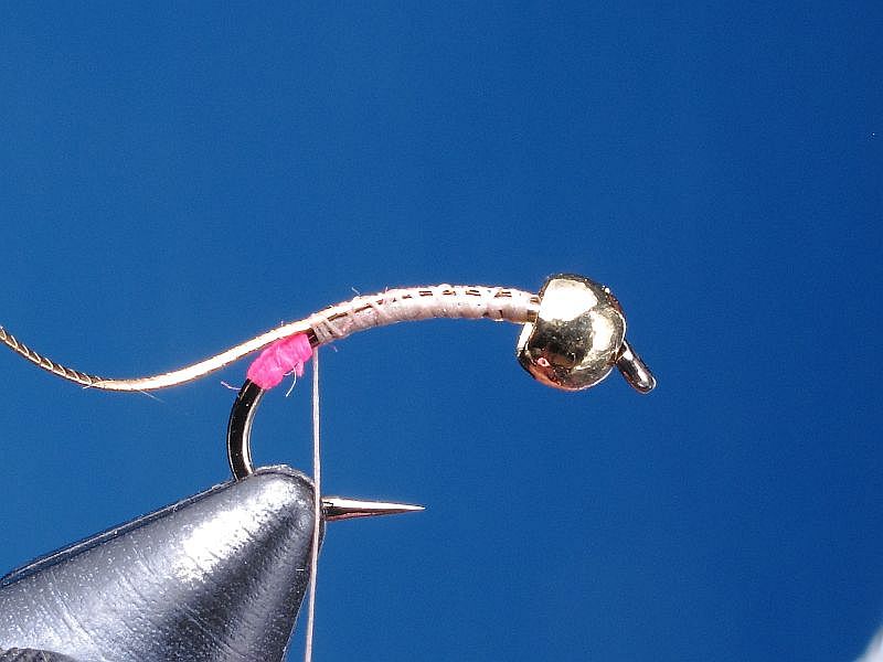 Grayling on the Fly: Step by Step Tying