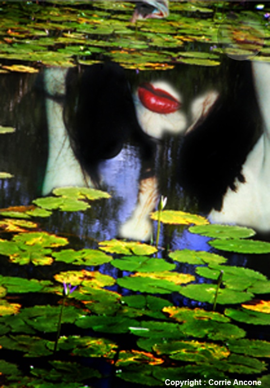 Bdsm Arte y Deseos - I: Corrie Ancone