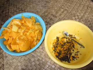 Words from the South Pacific: Faausi