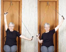 The Sciences Of Human Movements,Go Kinesiology!: SUSPENSION THERAPY