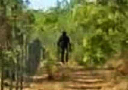 Phantoms and Monsters - Real Eyewitness Cryptid Encounter Reports