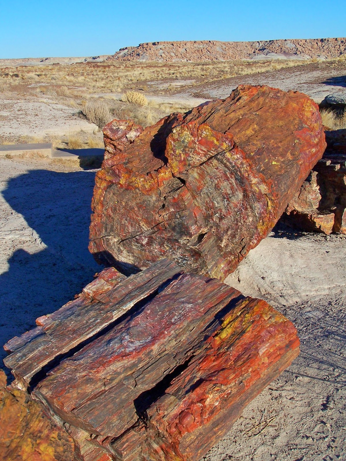 Day Hiking Trails: Best trails to see Petrified Forest’s wonders