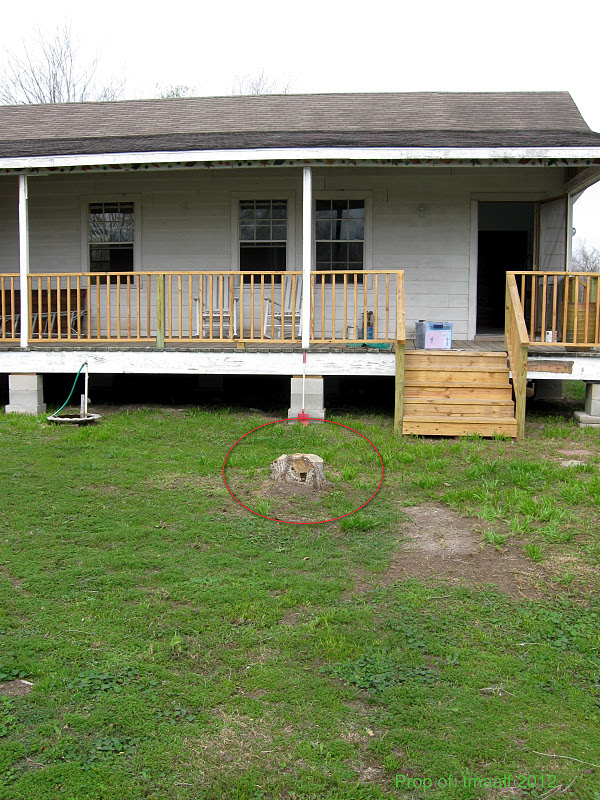 Two Men and a Little Farm: THE JUNK TREE IS GONE