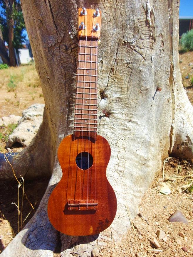 Tiwi Mini Ukuleles: Jamie's Koa pocket ukulele