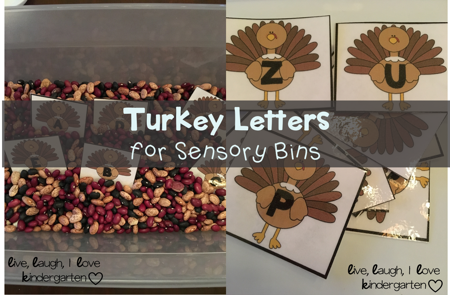 I added some fun turkey letters to our sensory bin!