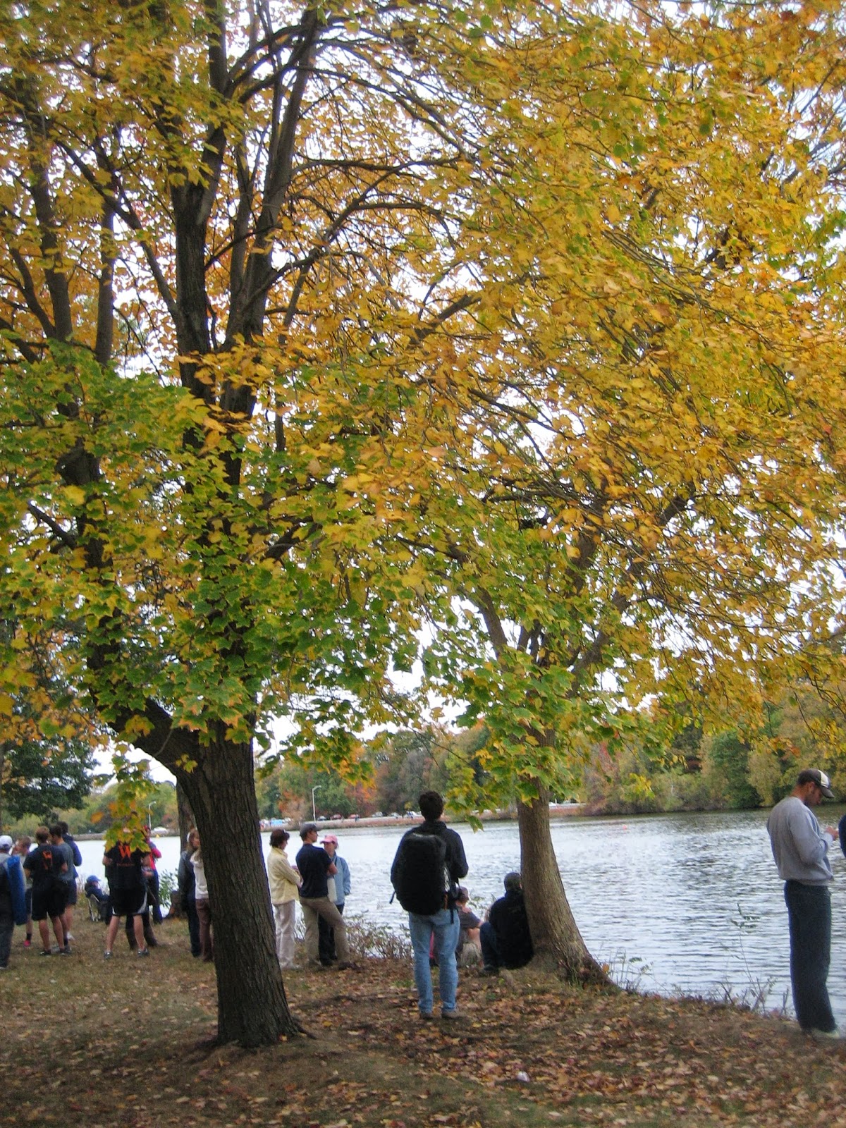 RENeW: Head of the Charles Regatta -- The Largest Regatta in the World