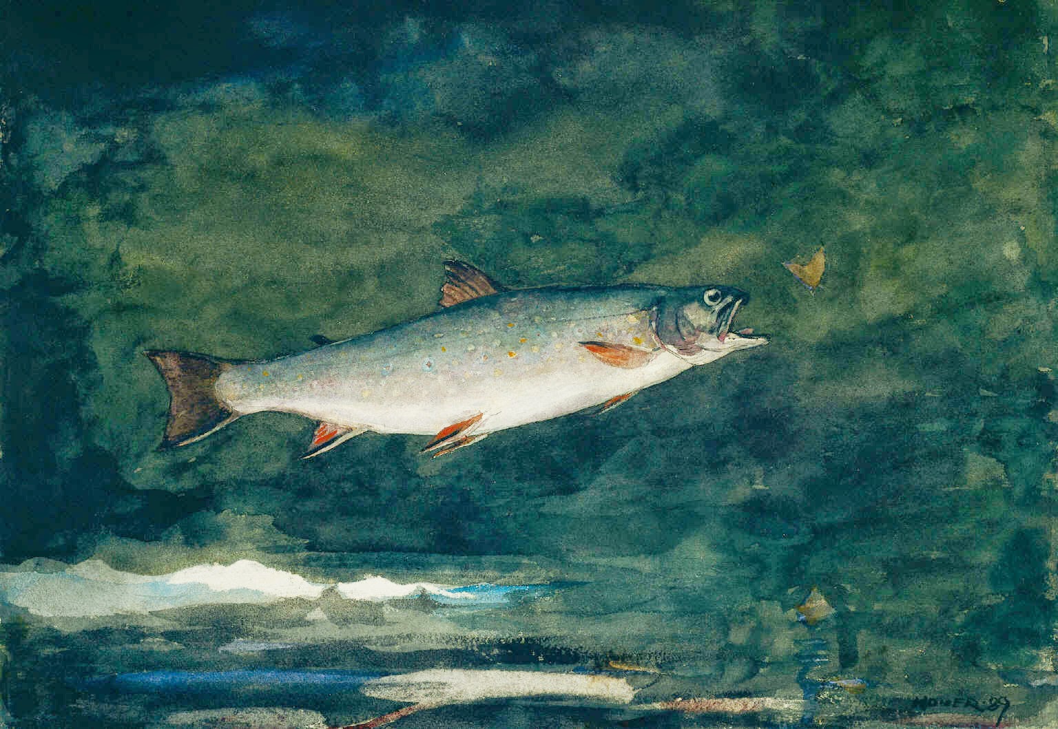 "And now, in the leaping of this fish, how wonderfully, laughingly ...