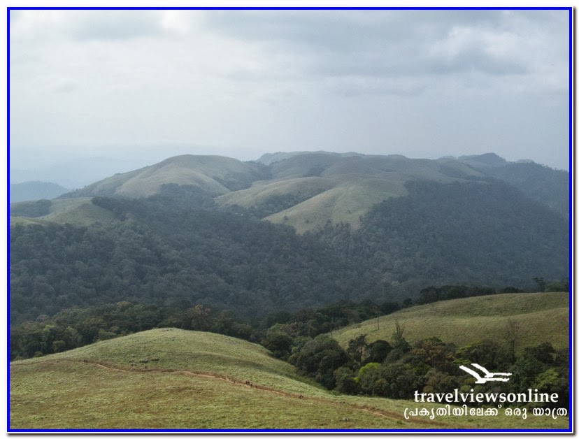 പ്രകൃതിയിലേക്ക് ഒരു യാത്ര (a travel towards NATURE): PULLUMEDU a unique ...