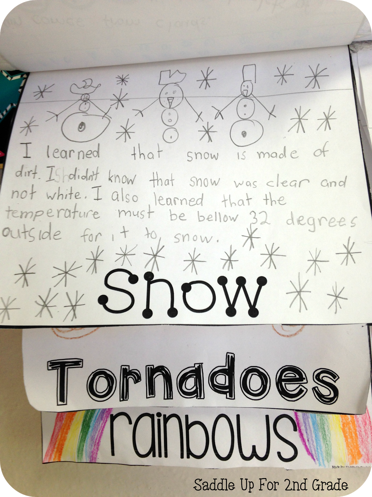 All About Weather - Saddle Up for 2nd Grade