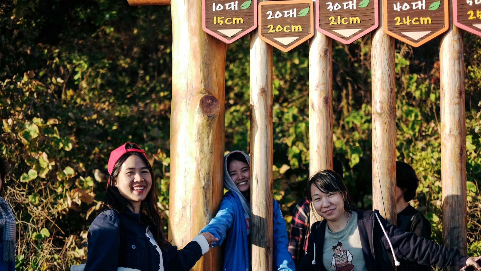 Daebu Island - The Gorgeous Natural Utopia 대부도 가을 여행 추천기 - Mini en Monde