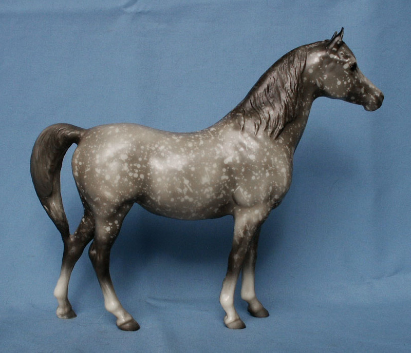 Dark Grey Arabian Stallion