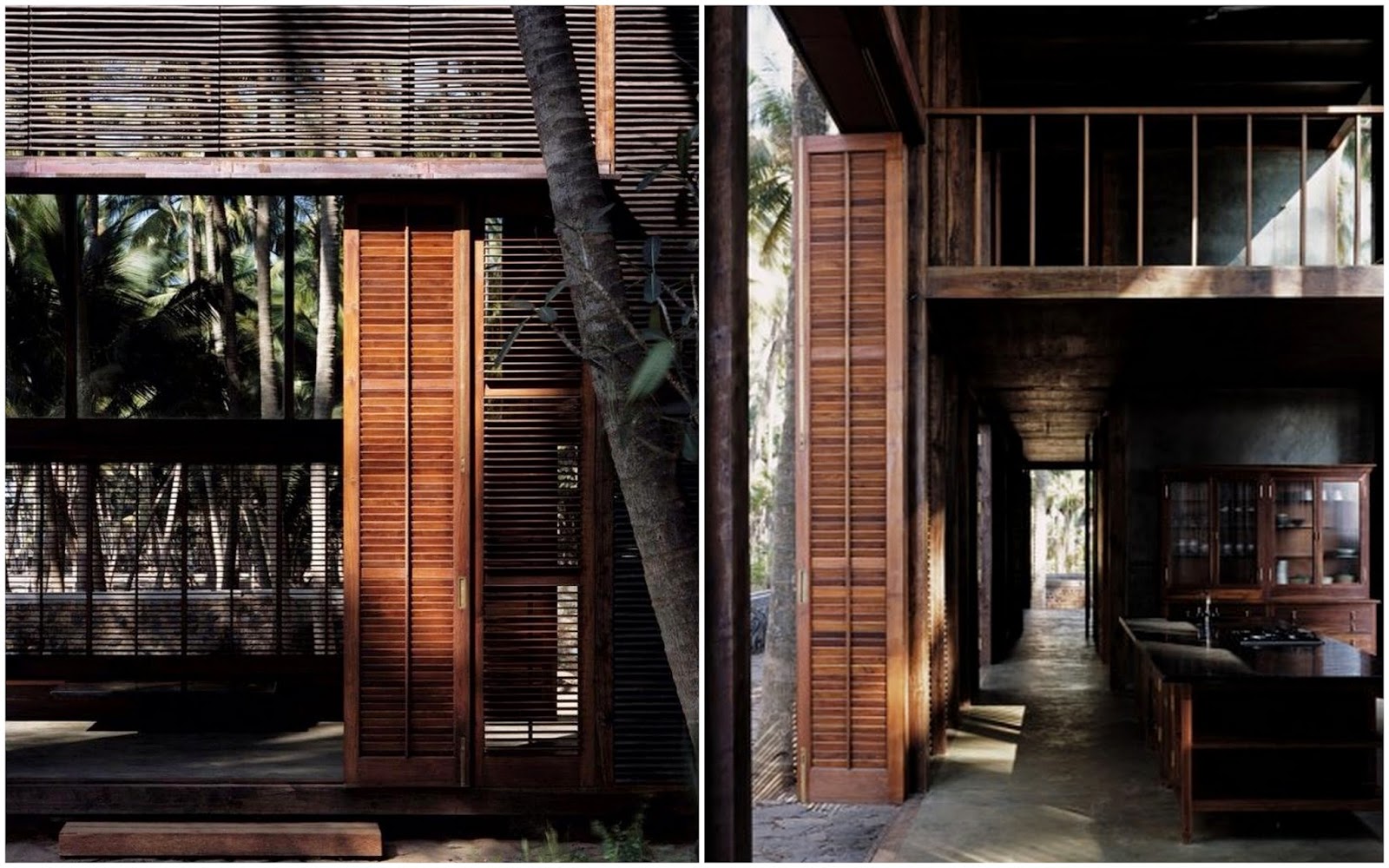 DAzulterrA: PALMYRA HOUSE