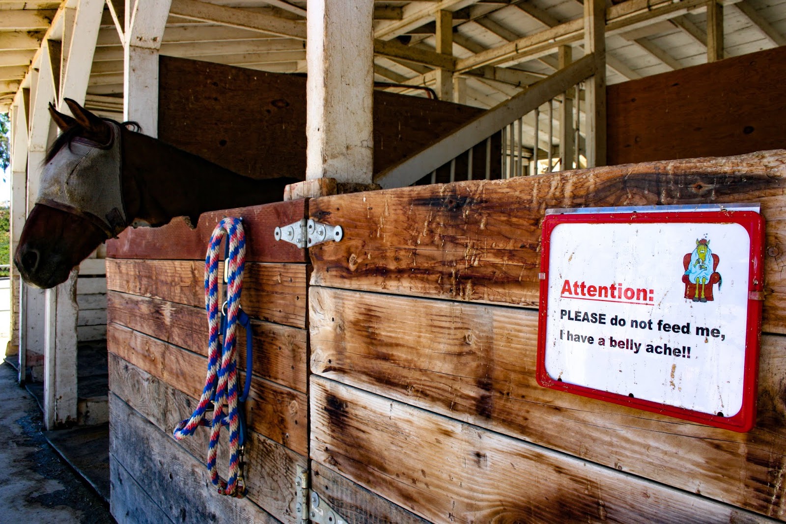 Traverse Photography.Christine Nicole: Stepp Stables, Camp Pendleton CA