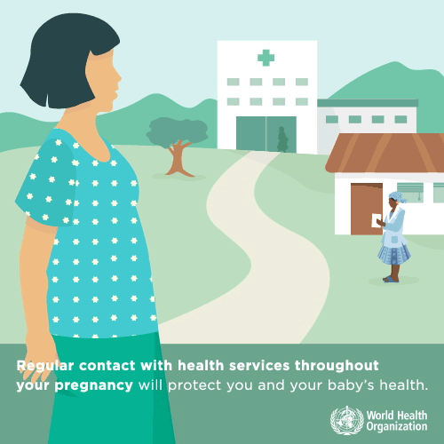 Health Observation: Pregnancy: Antenatal Care