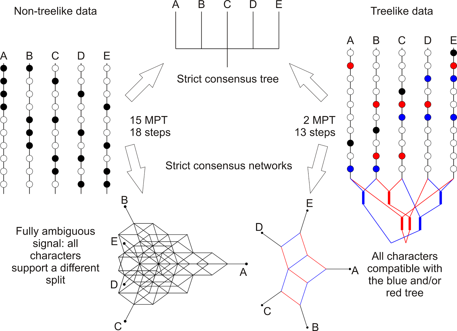 The Genealogical World of Phylogenetic Networks: Clades, cladograms ...