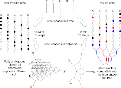 The Genealogical World of Phylogenetic Networks: Clades, cladograms ...
