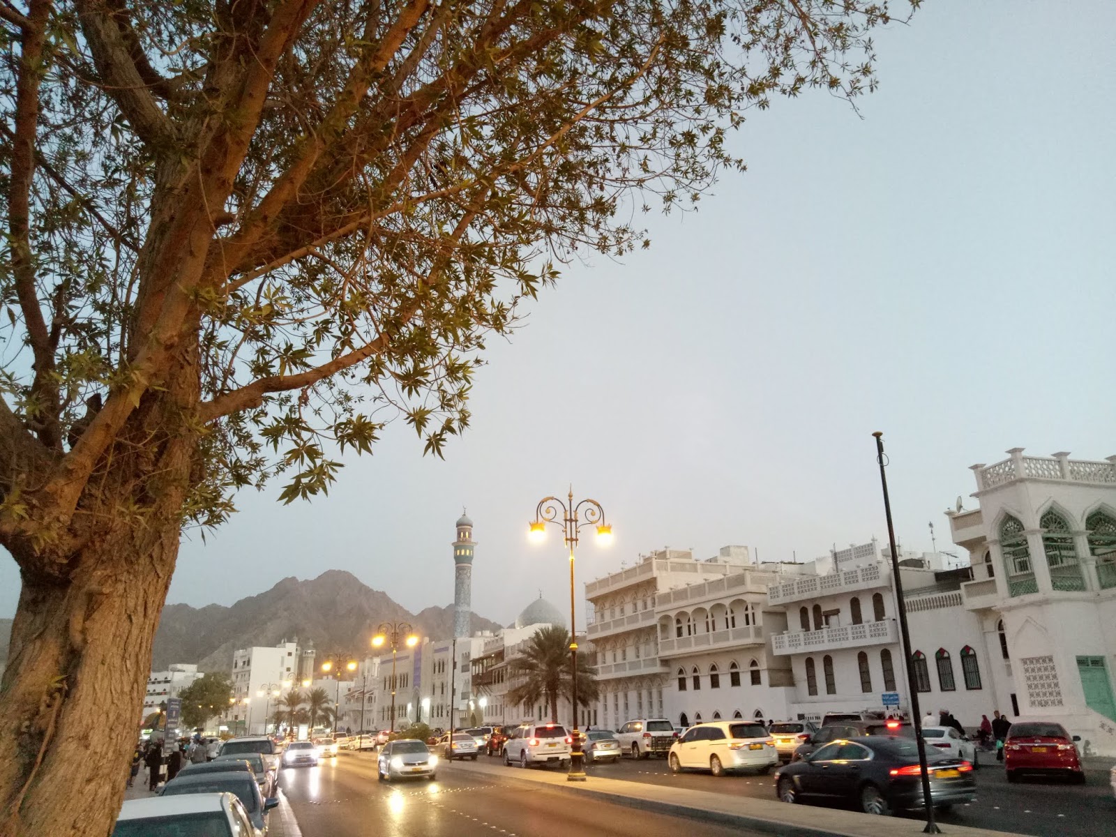 Solitary Wayfaring: “Muscat is not Dubai” – an afternoon in the Omani ...
