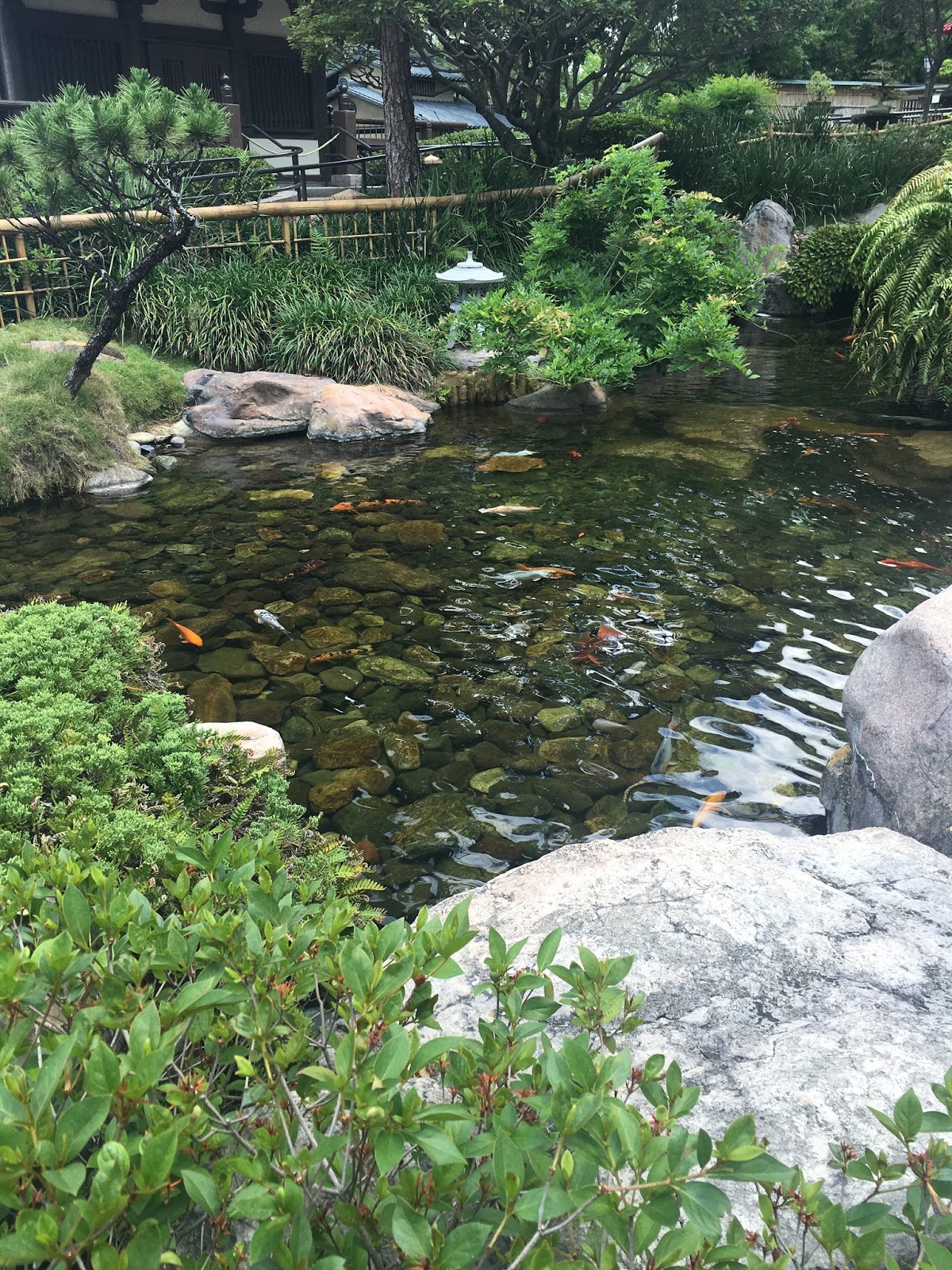 Milligan Florida Holiday Blog