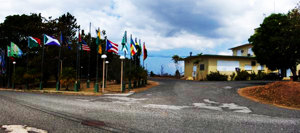 NOTICIAS SUR P.R.: NOTICIAS GENERALES