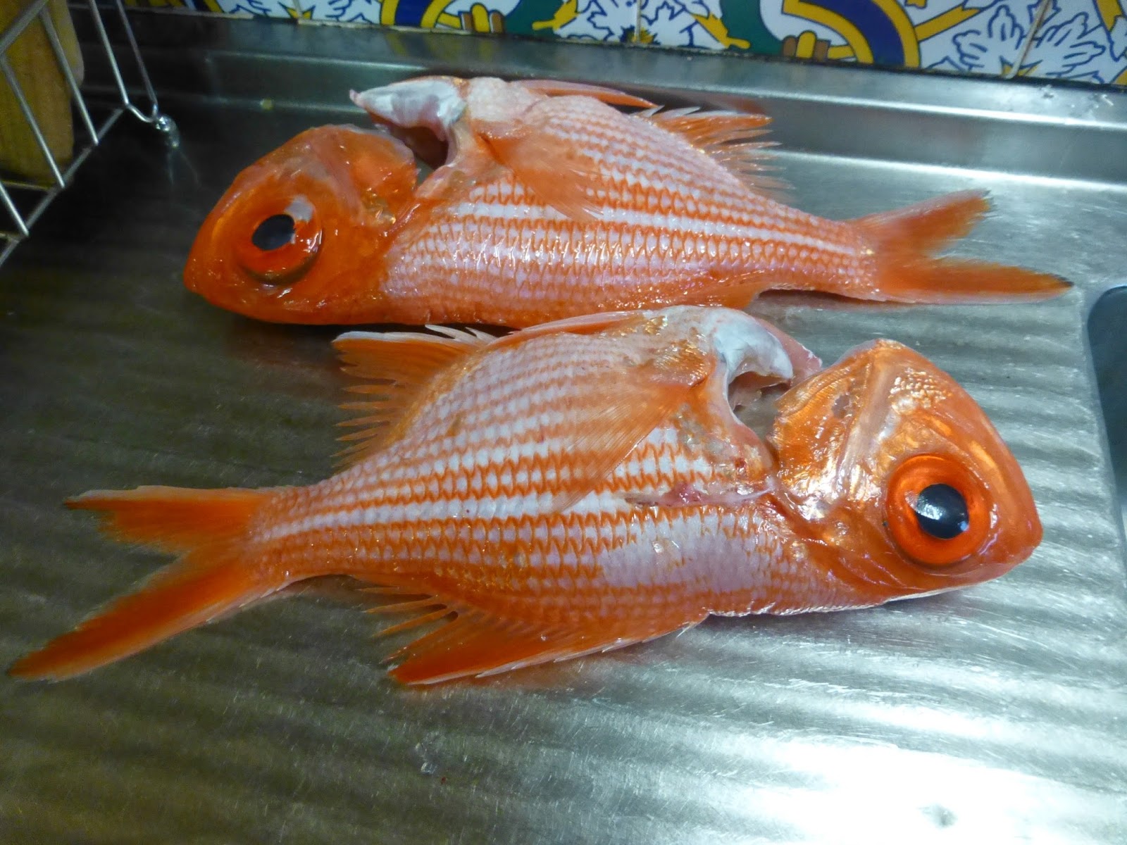 Back Valley seasons: Rocks