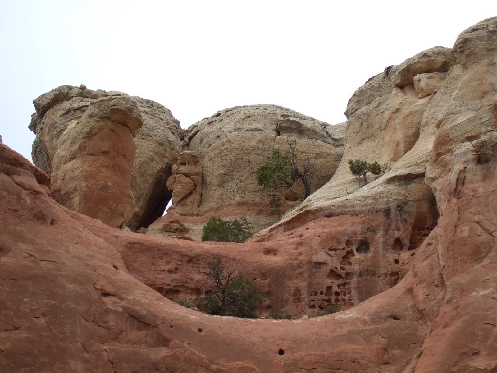 Tom and Suzanne's Travels: Visiting the Sand Canyon South Trailhead