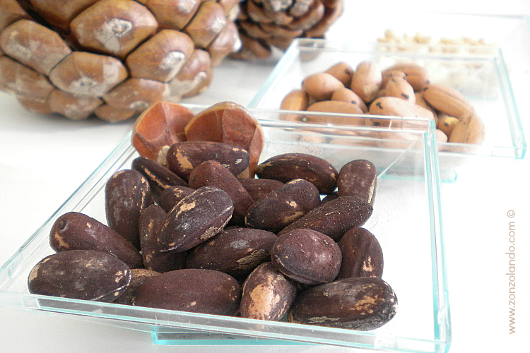 Storia di un pinolo | Zonzolando