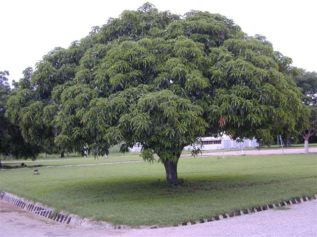 Share on Facebook Share on Twitter Share on Google Plus