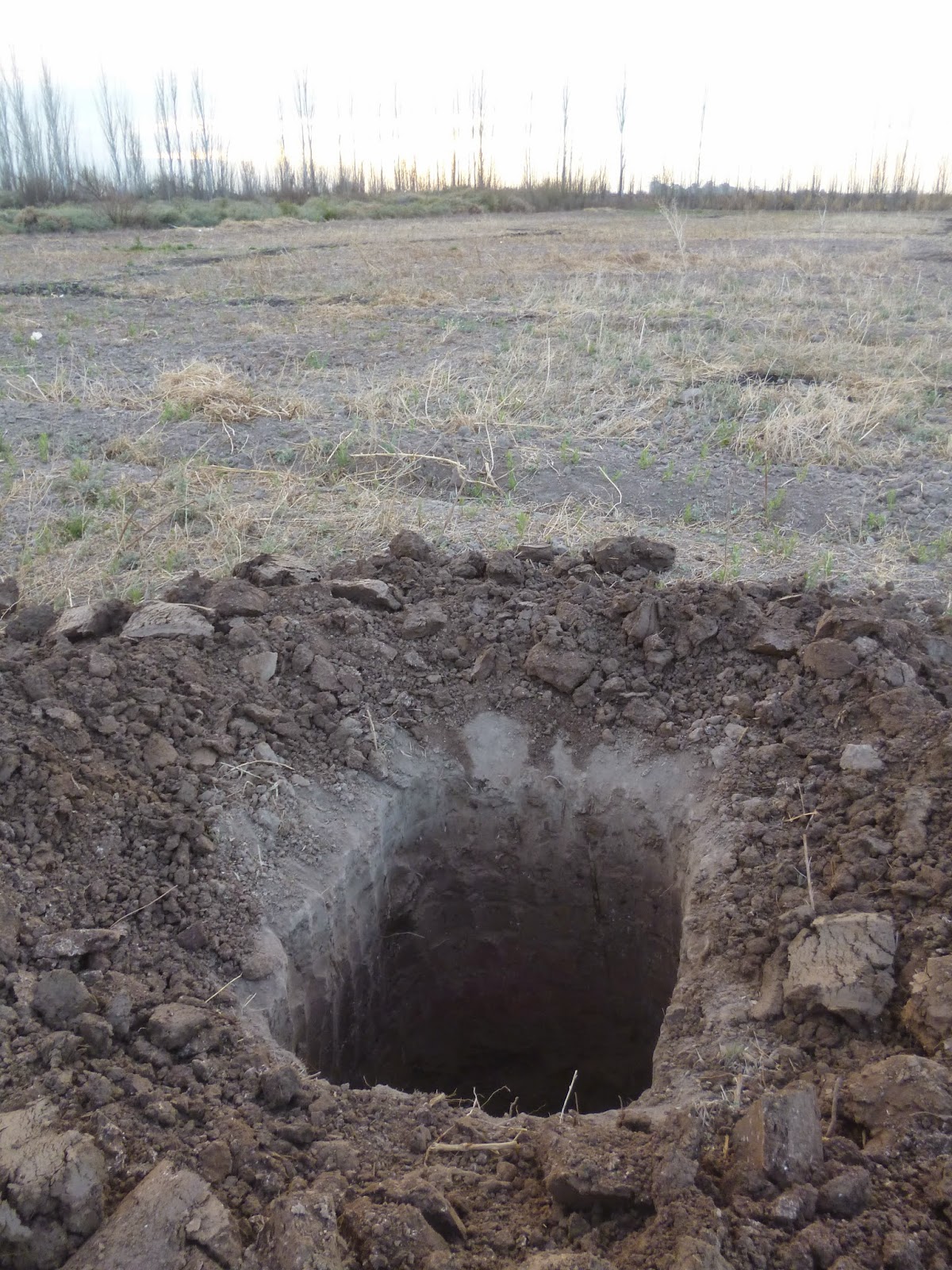 Rodrigo S. Espíndola: Observación de calicata antes de una plantación