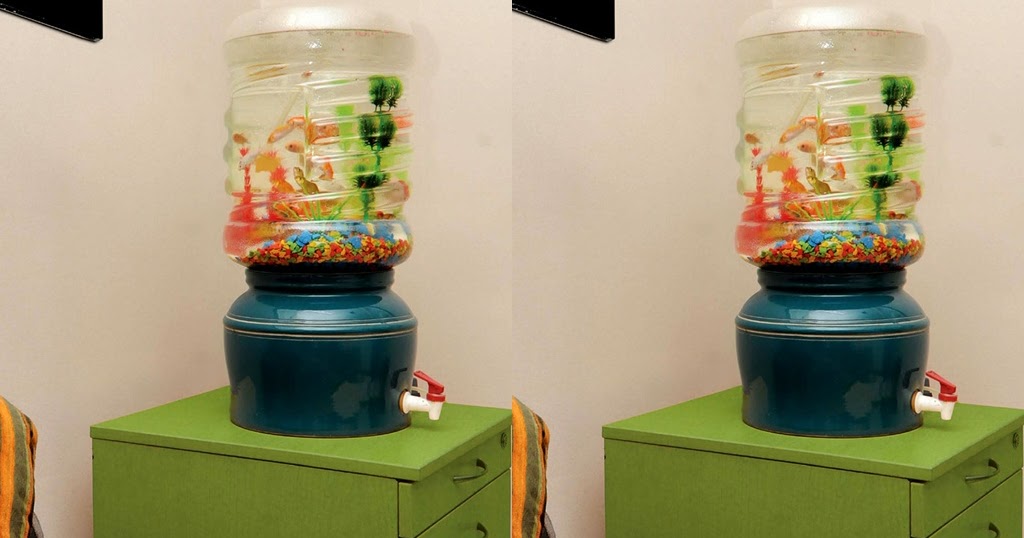 Terbaru 25+ Cara Menghias Aquarium Murah