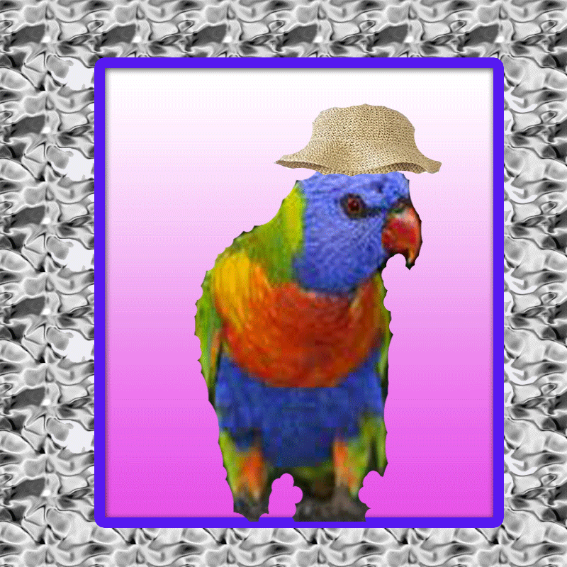 fotos de todo: Loro gif animado