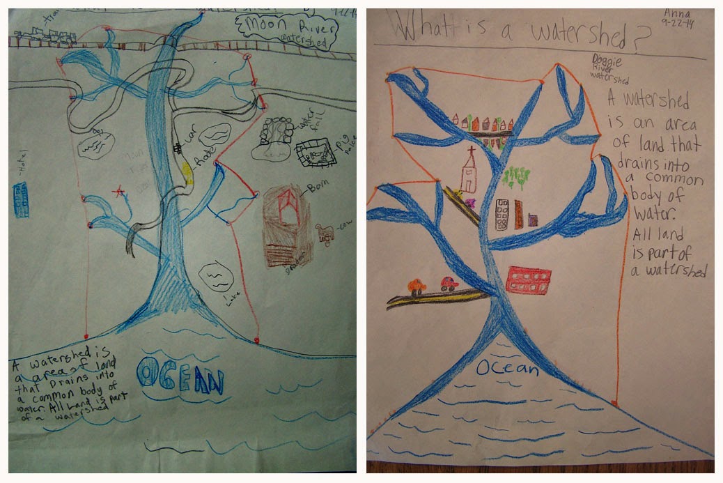 The Ripple Effect: A Worthy Collaboration: The Watershed District’s ...