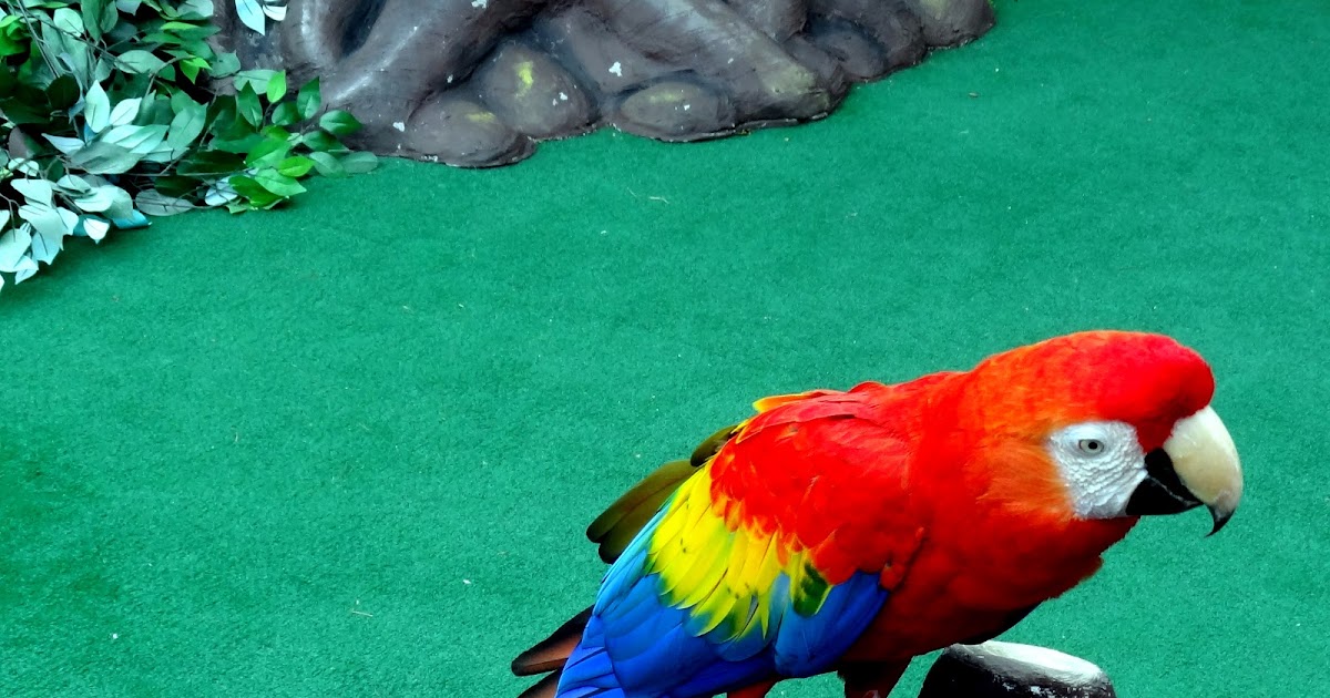 Alex's Weblog: Ocean Park