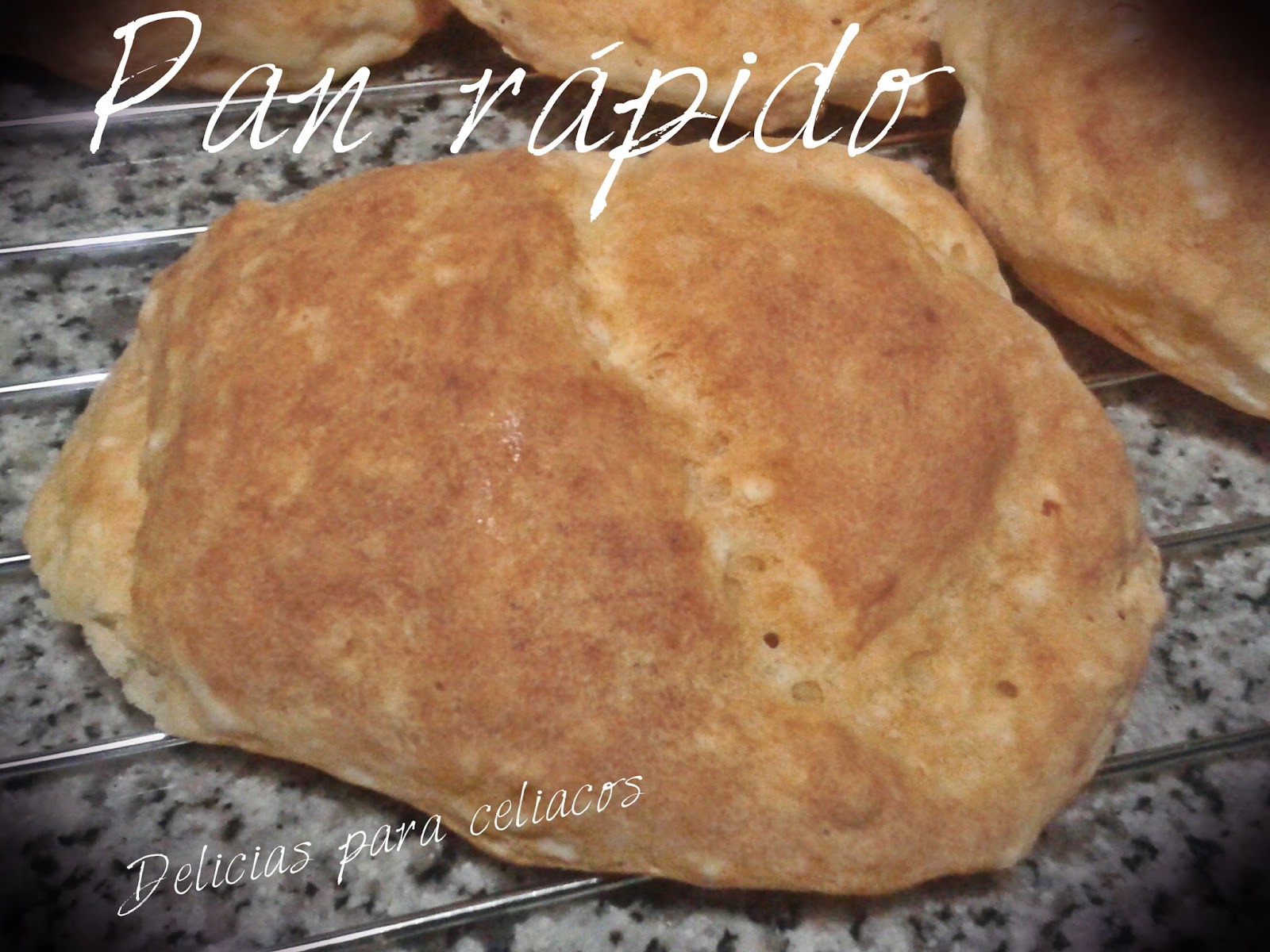 Delicias Para Celiacos: Pan rápido