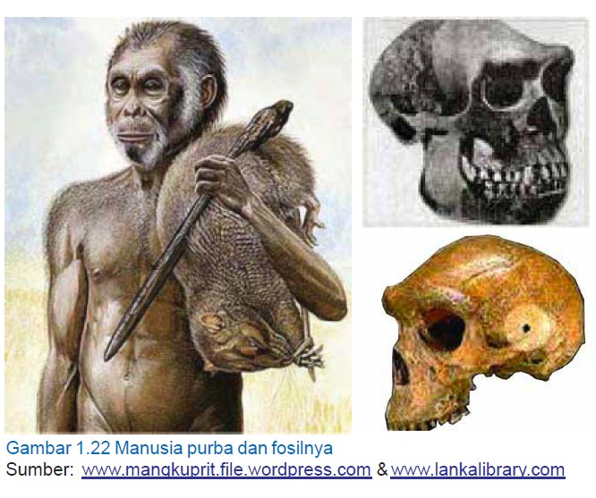 Masa Praaksara di Indonesia | Pintar Studi