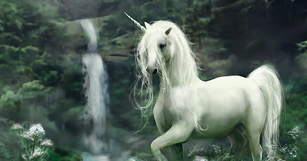 World History: Unicorn