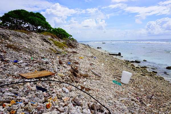 Stanford@SEA: Rubble, Rod and Reel