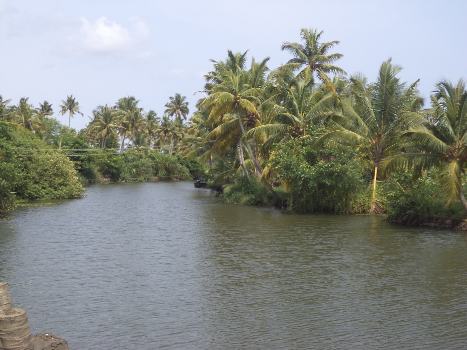 ST:XAVIER'S COLLEGE KOTHAVARA. PHOTO BLOG