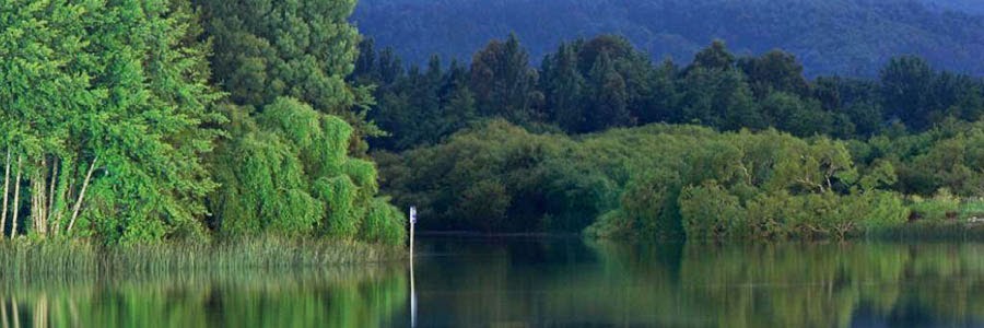 Geografía turística de Chile y el Mundo: Región de Los Ríos