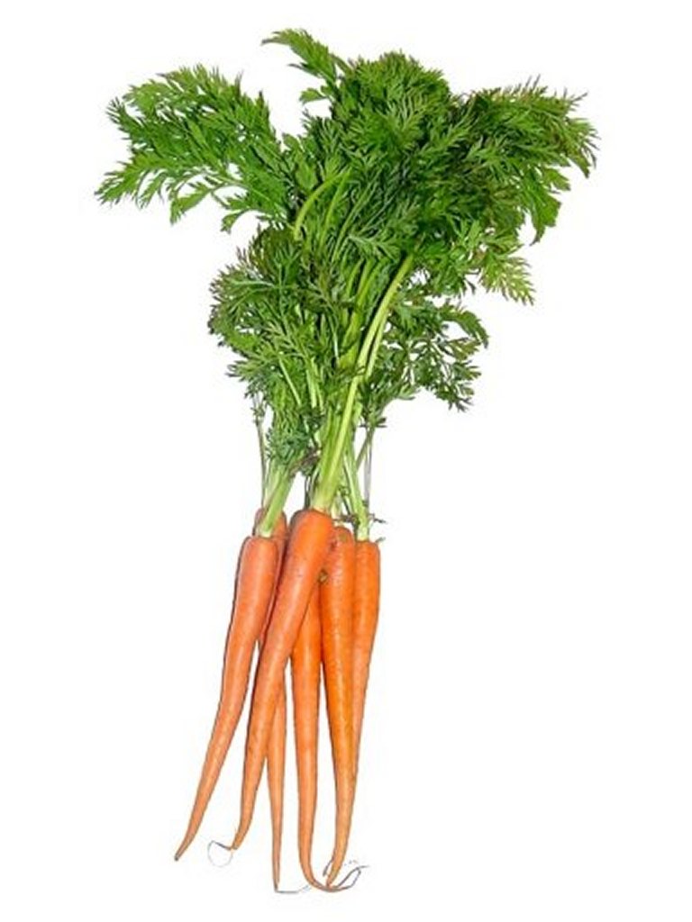 World of Knowledge: Carrot Benefit