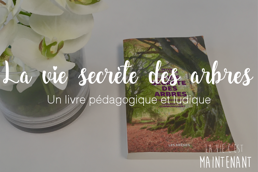 J'ai lu : La vie secrète des arbres (2017) - La vie, c'est maintenant.