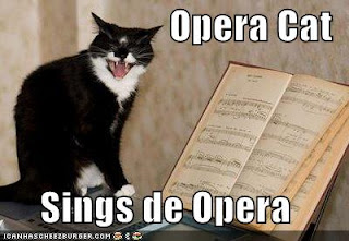 The Operacats: Other operacats (lol-cats)