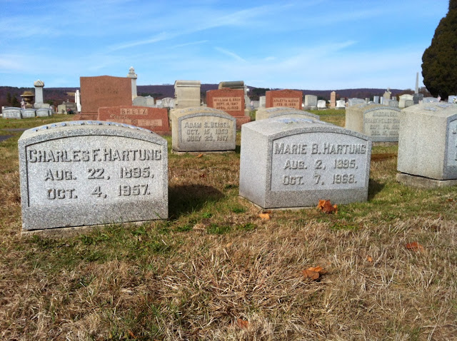 Cultured Carbon County: The Soul of Beisel's Christmas Tree Hill (And ...