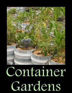 Gardening with Red Hill: Urban Container Gardens