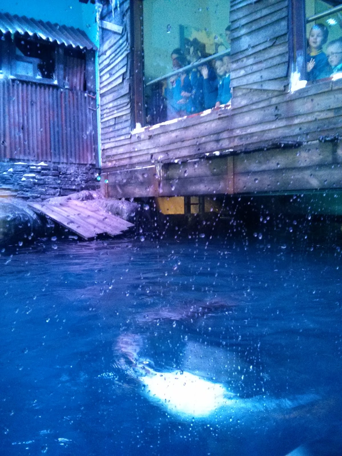 Travel Pennies: The Deep Aquarium in Hull