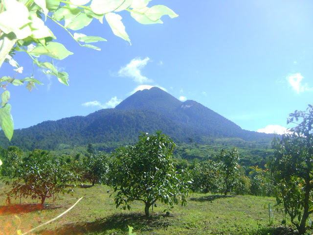 JOURNEYING SARAH: Climbing Mt. Matutum