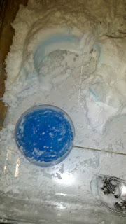 Munchkin and Bean: Arctic Small World