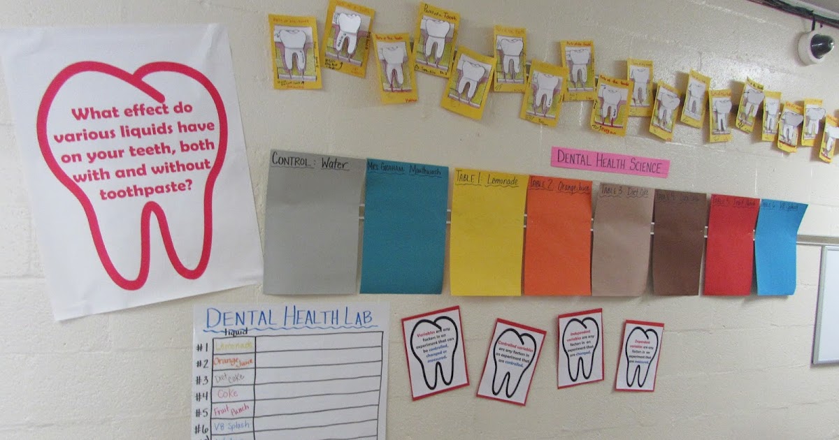 Growing a STEM Classroom: February is Dental Health Month