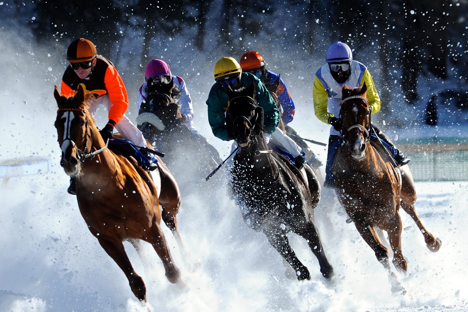 Passion For Luxury : White Turf St. Moritz 2013