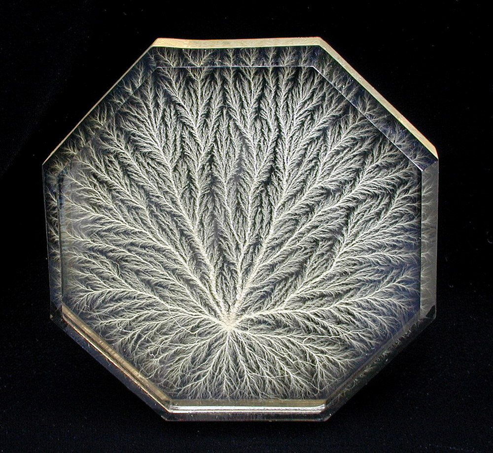TYWKIWDBI ("Tai-Wiki-Widbee"): Lichtenberg figures